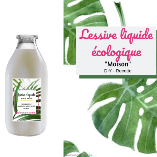Recette de lessive liquide écologique « maison »: DIY zéro déchet ...