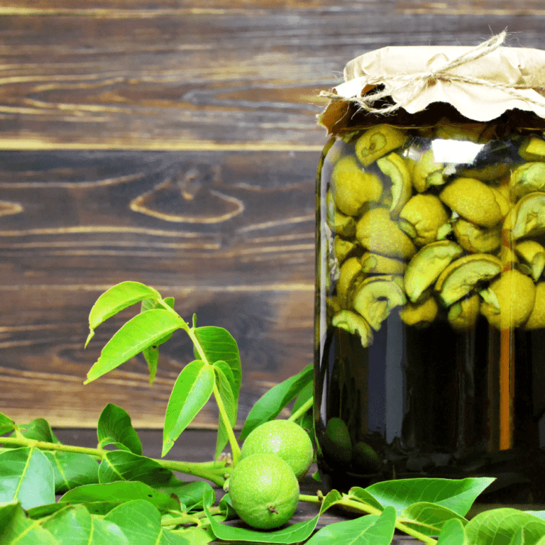 La recette traditionnelle du vin de noix: apéritif artisanal "maison"