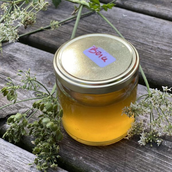 Cuisiner la berce commune: recette du caramel aux graines de berce